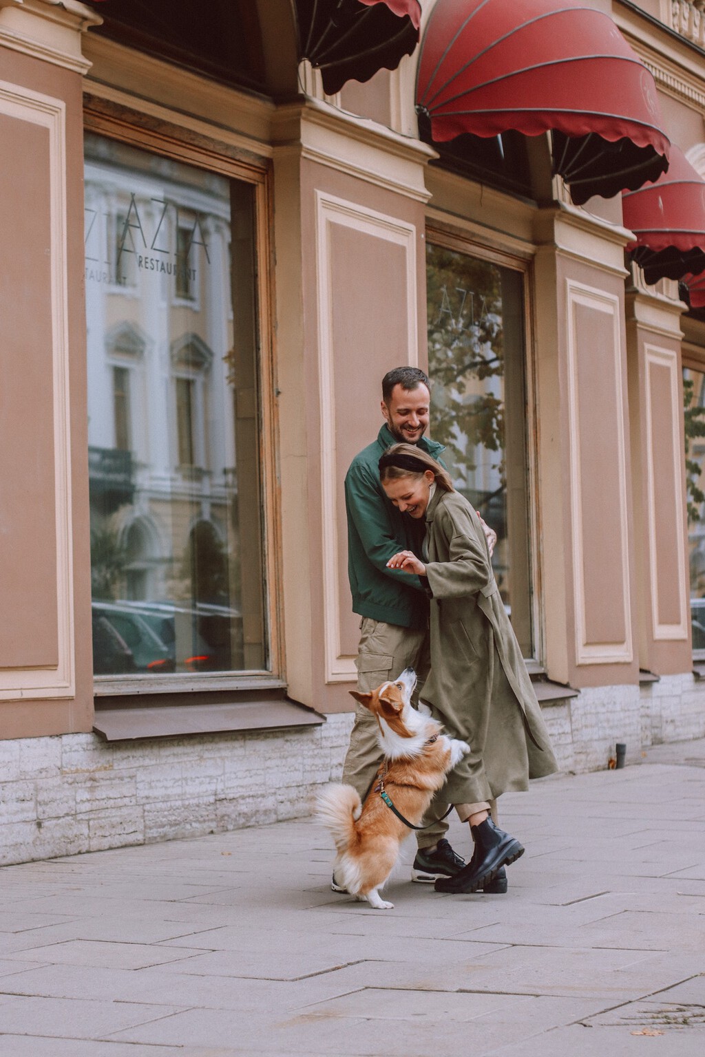 These Are The Five most dog Friendly Countries In The World Pup Breeds these-are-the-five-most-dog-friendly-countries-in-the-world-pup-breeds