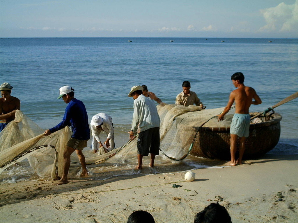 Elaboracion de la salsa de pescado (la pesca)