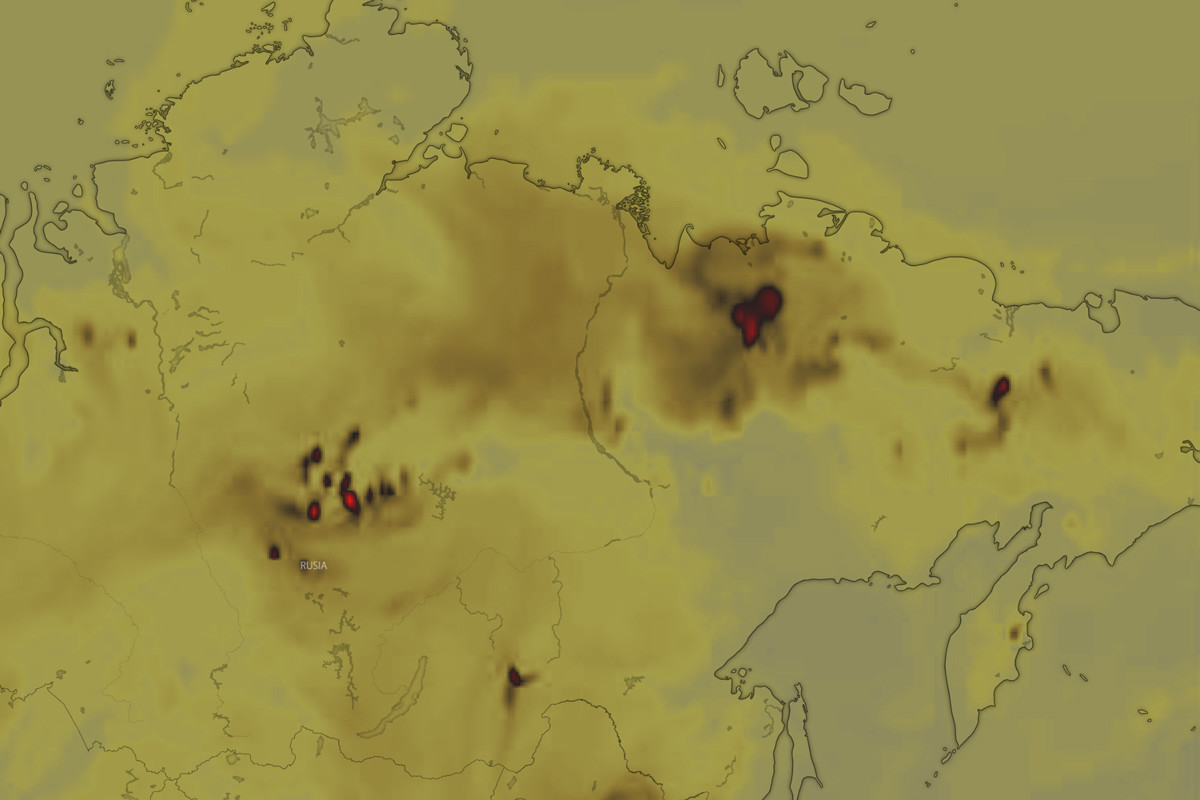 El impacto medioambiental de los incendios del Amazonas, explicado en ...