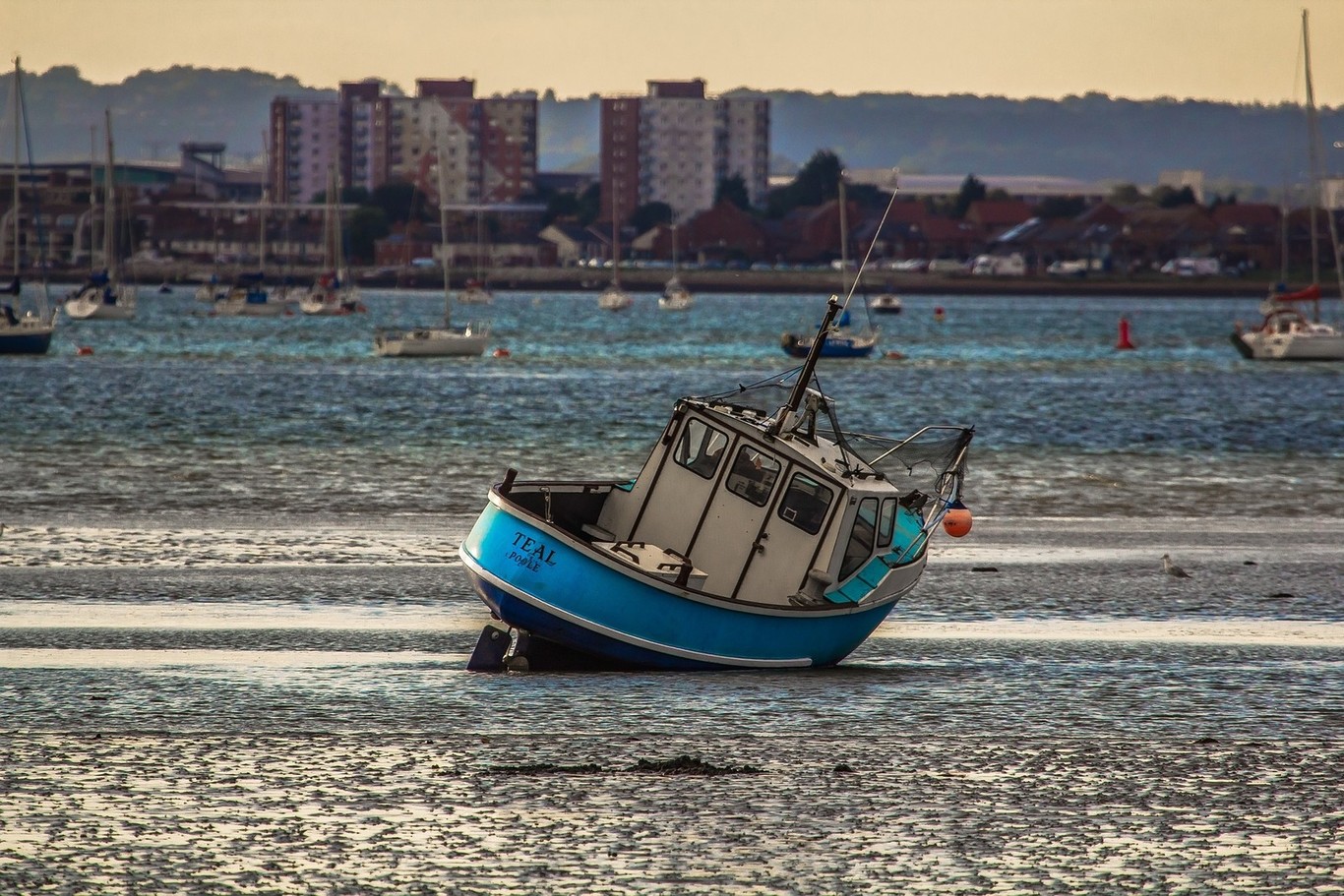 El problema de la cinetosis, y por qué hay personas que se marean ...