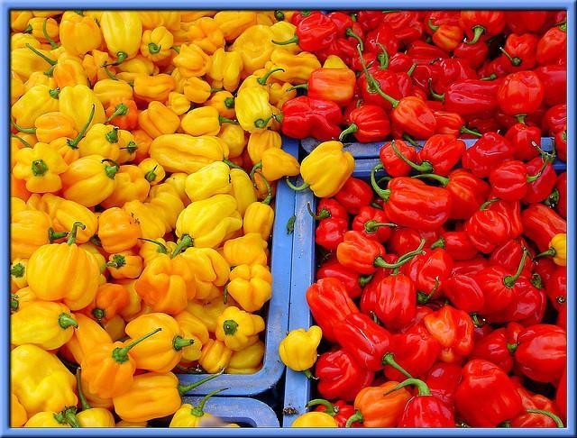 Carotenos: colores antioxidantes