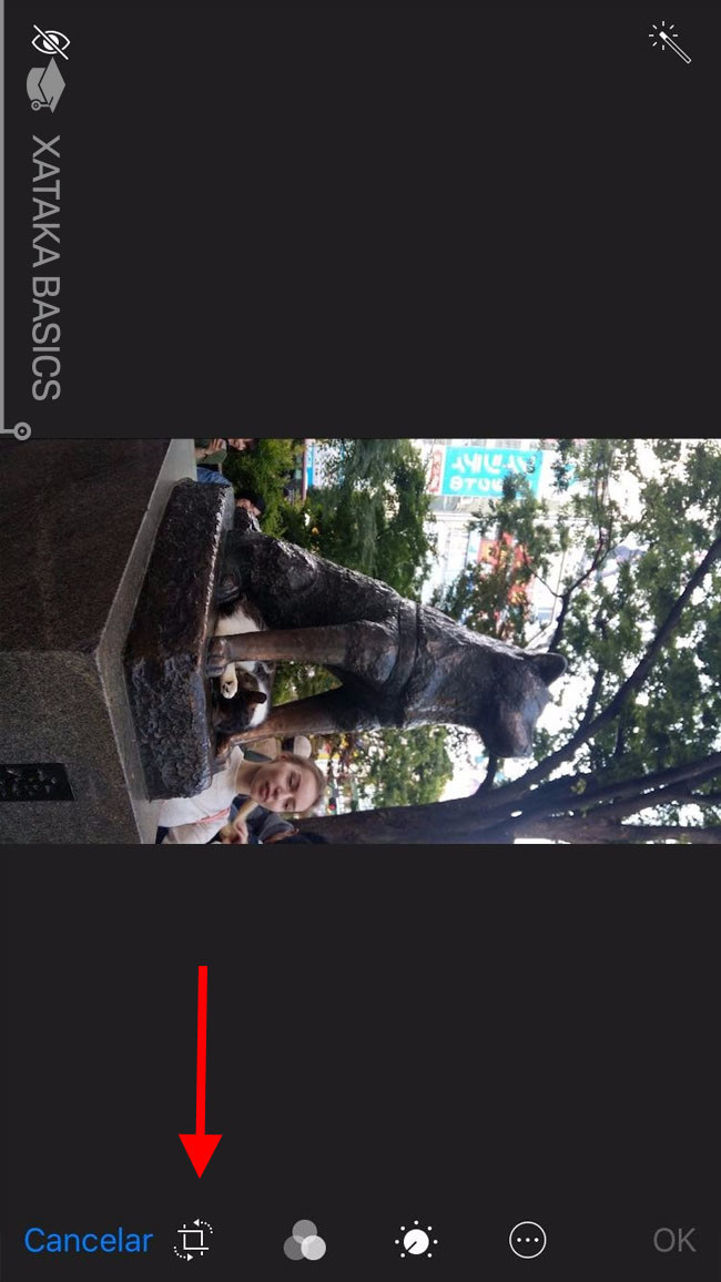 Cómo rotar una imagen en el móvil