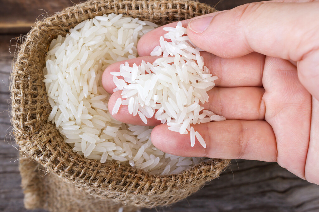 Recetas de Arroces - Directo al Paladar