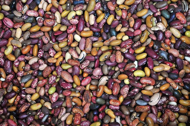 El frijol, parte sustancial de las comidas de México
