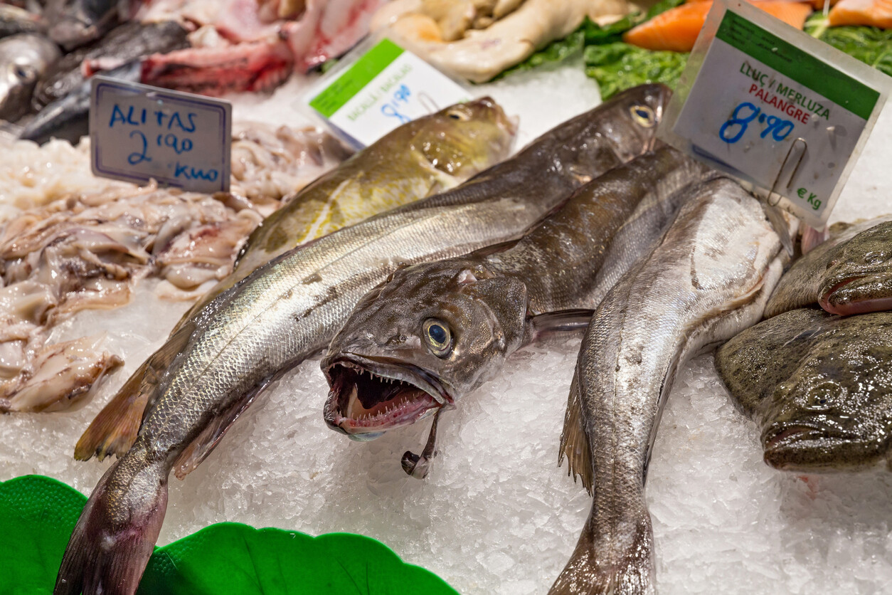 Merluza: cuál es la mejor, cómo prepararla y ocho recetas para disfrutarla