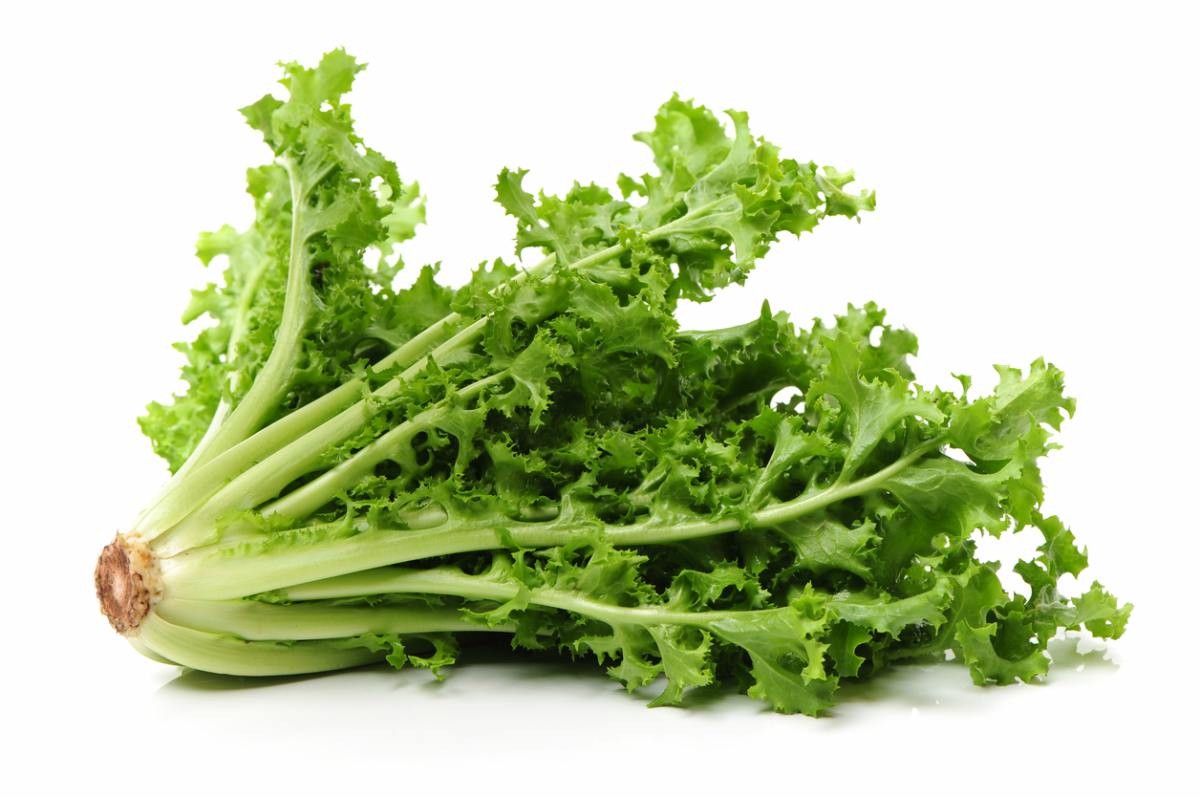 7 tipos de lechugas y cómo usarlas para preparar ensaladas deliciosas y ...