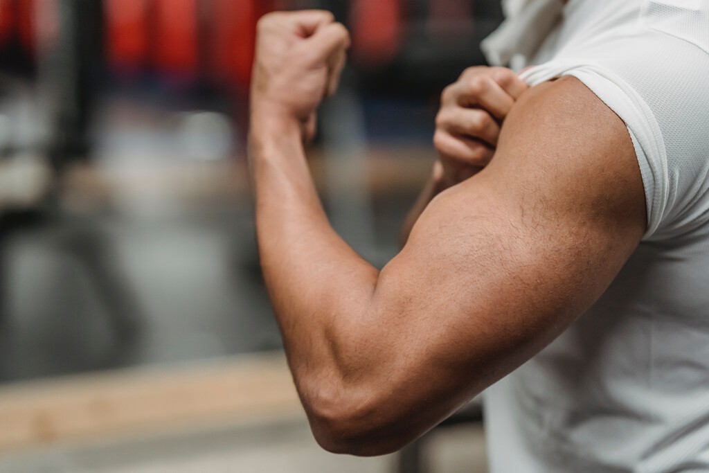 Una rutina de entrenamiento para fortalecer tus brazos rápido y ...