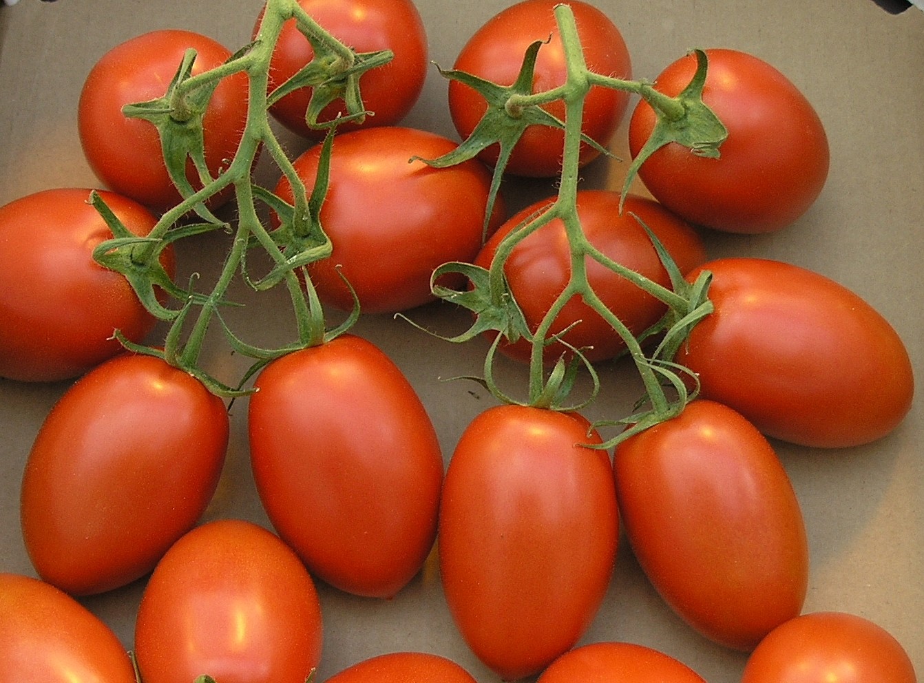Cada vez hay más tipos de tomate en el "super": aquí tienes la "super" guía