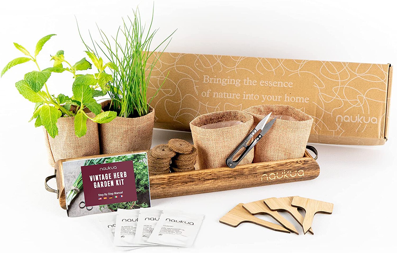 Seis mini huertos para sembrar nuestras propias especias en casa (y lo ...