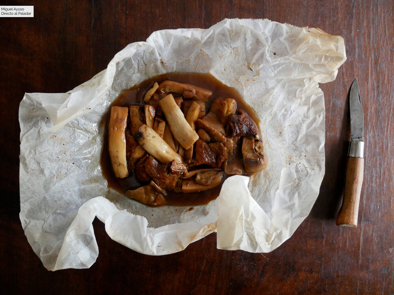 Todo sobre los boletus: qué son, cómo identificarlos, cómo recogerlos y ...