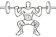 El pectineo, un músculo valioso de la pierna