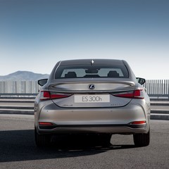 Lexus ES 300h y RC 300h 2019, prueba contacto: híbridos de lujo con ...