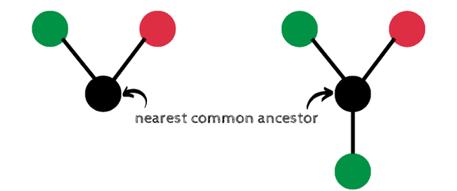 El número TREE(3) no es infinito, pero es tan grande que ni siquiera cabe en el universo