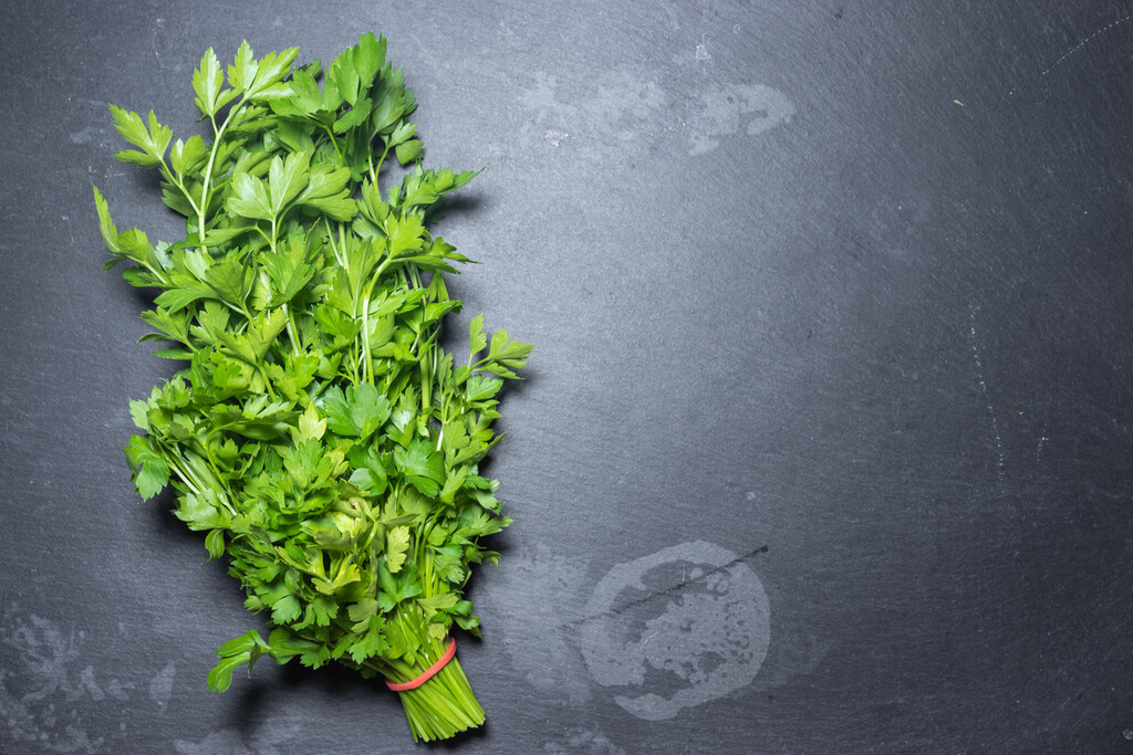 Cilantro, la hierba aromática imprescindible en la cocina ...