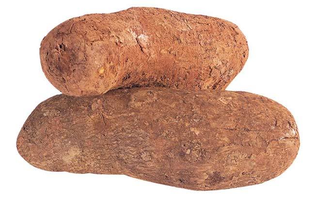 El ñame, un tubérculo aliado de la salud