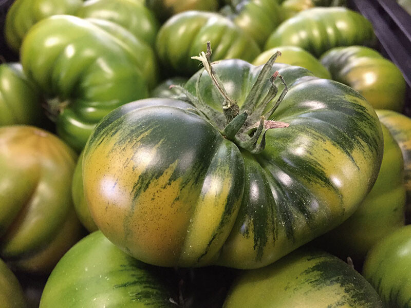 El Tomate Raf almeriense está en plena temporada en invierno: qué es ...