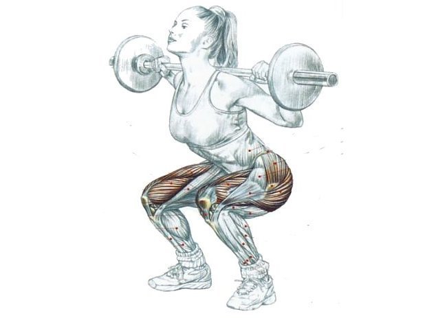 Guía para principiantes (VIII): Squats o sentadillas