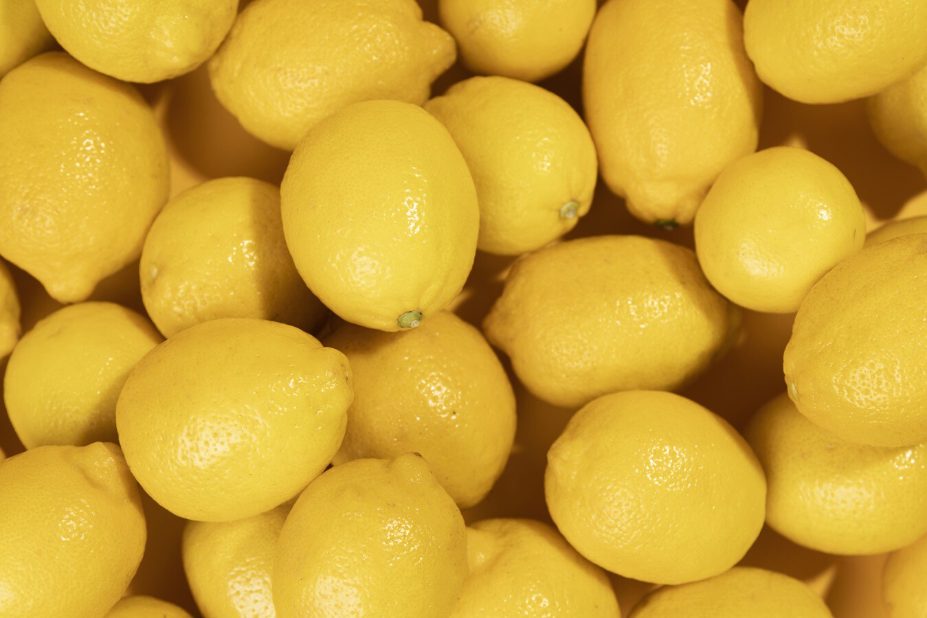 El truco casero para revivir los limoneros que se están secando