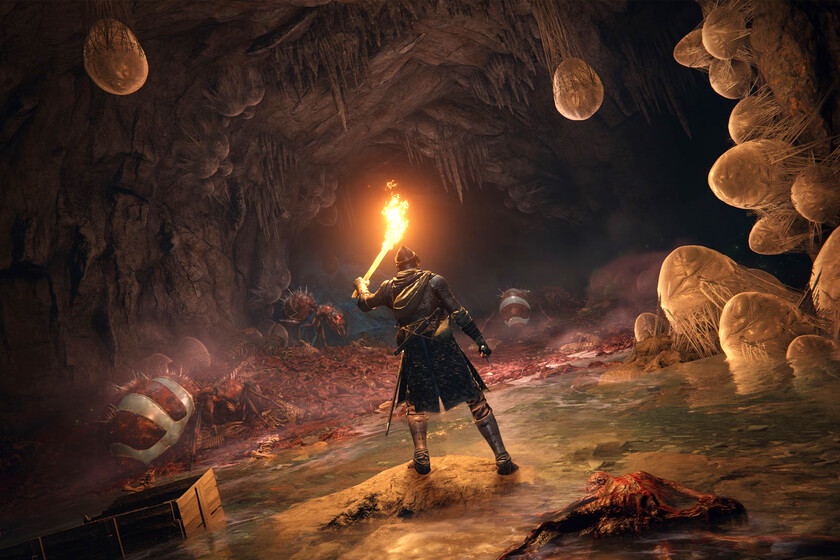 Esperaba encontrar un bello jardín en esta ubicación de Elden Ring ...