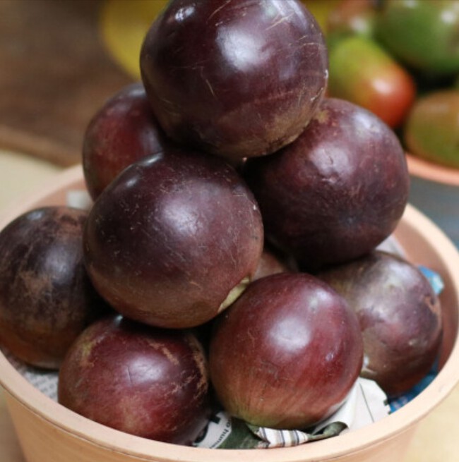 Qué es el caimito, la fruta del Caribe mexicano que alivia problemas ...