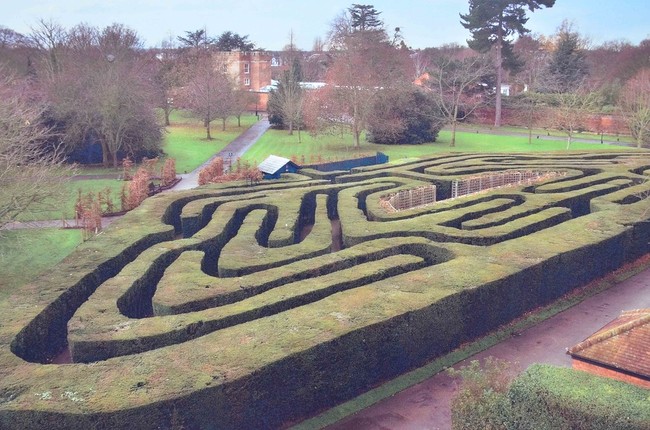El vídeo que muestra la sorprendente capacidad de células y ...