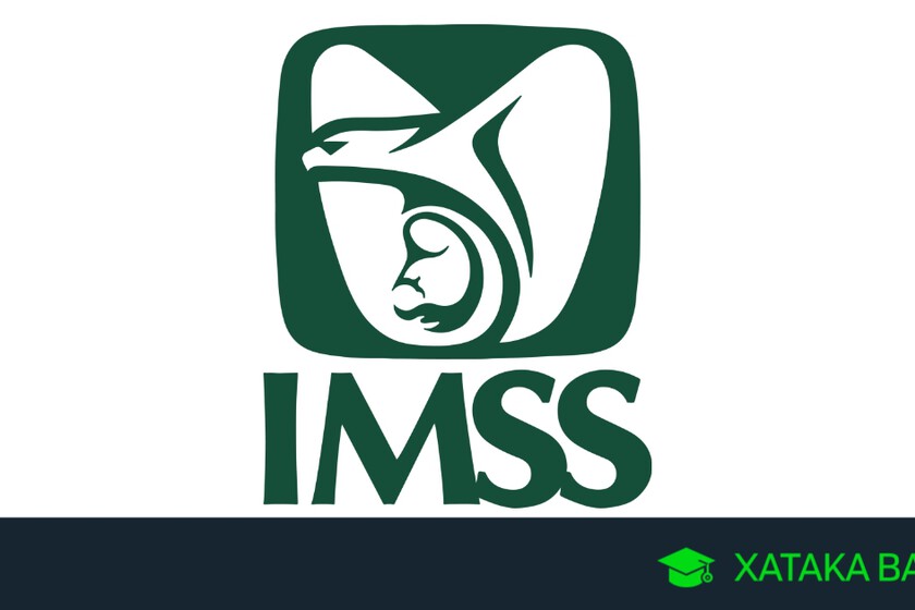 Tarjetón digital del IMSS de México: para qué sirve y cómo se descarga