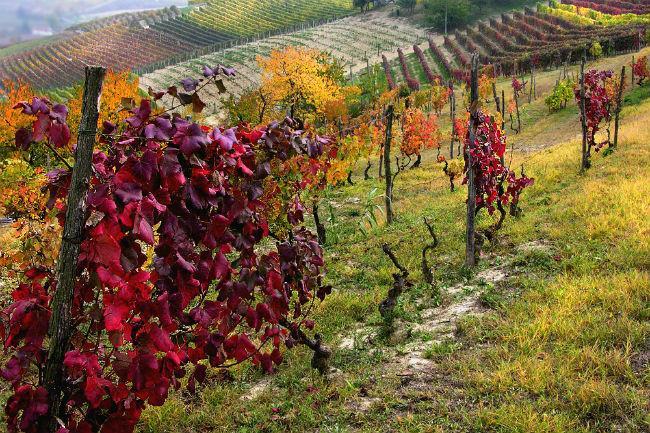 Descubre el Piamonte, un paraíso entre montañas