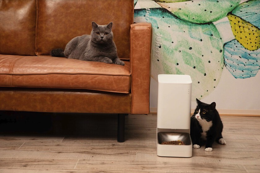 Nuevos Xiaomi Smart Pet Food Feeder y Smart Pet Fountain ...