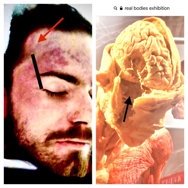 Una madre que visitó Las Vegas por vacaciones afirma haber encontrado ...