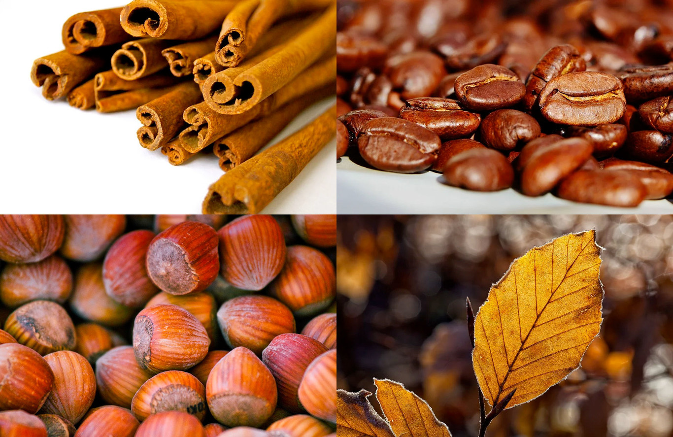 El verdadero y secreto marrón de la óptica es que no exista luz de ese ...