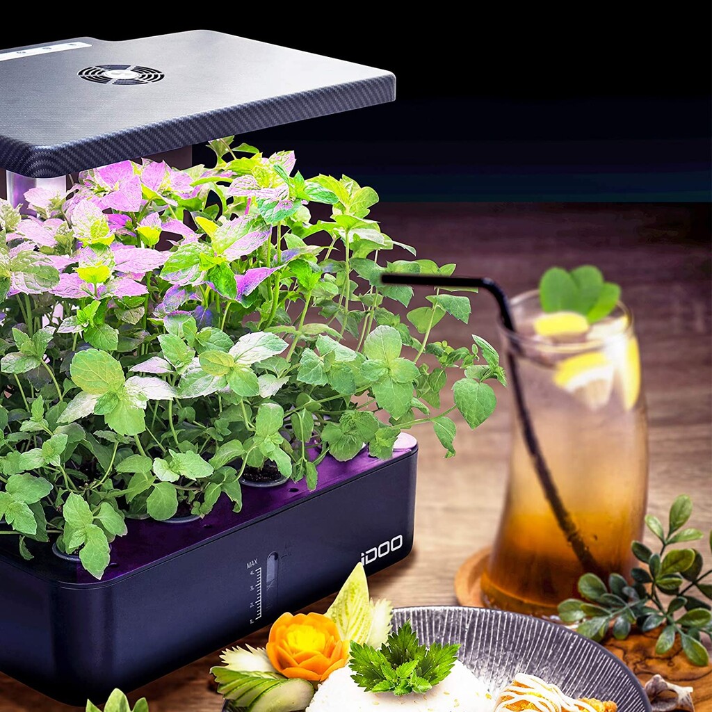 De tu huerto a tus platos: cinco huertos de interior o jardines ...