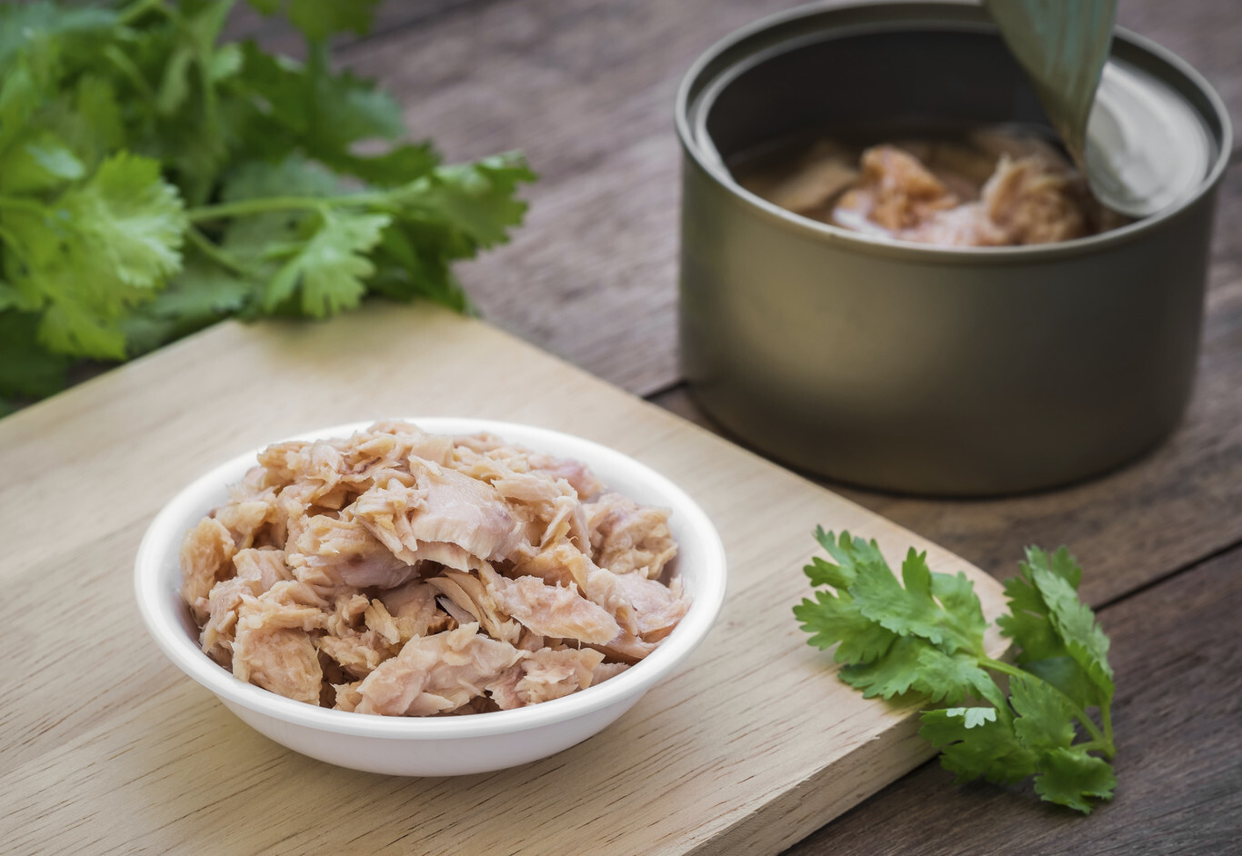 Las 19 conservas que nunca faltan en la despensa del equipo de Directo ...