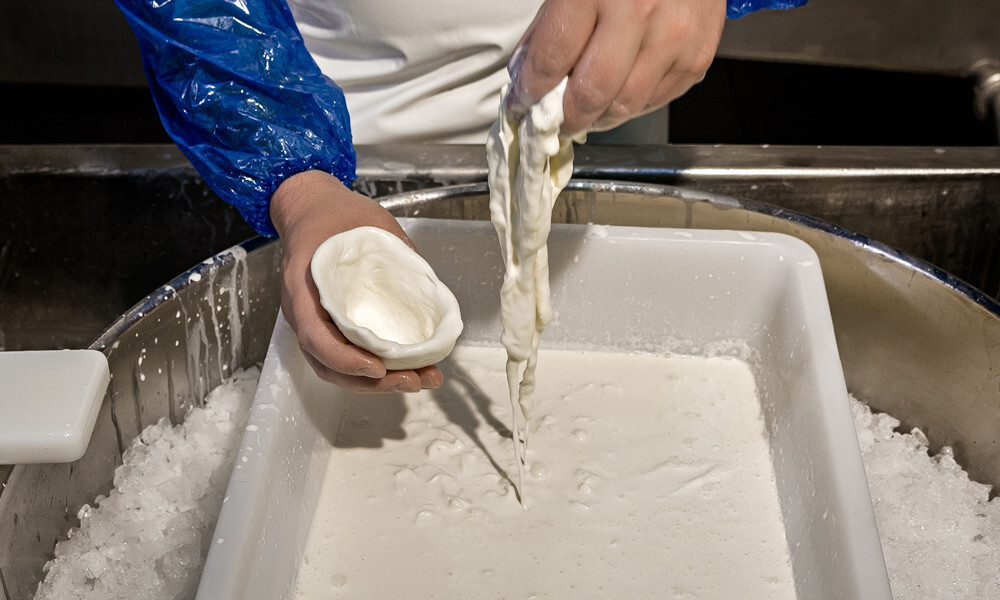 Qué Es Una Burrata Receta Fácil Y Casera Para Cocinar Este Queso