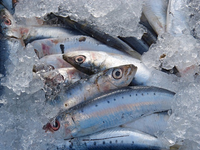 El pescado en la alimentación infantil: atún, sardina, salmón y otros ...