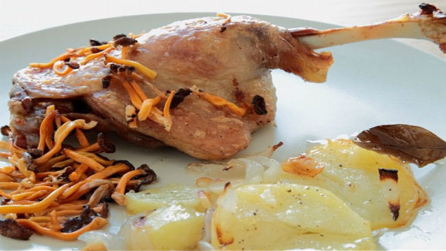 Piezas del pato - Partes del pato