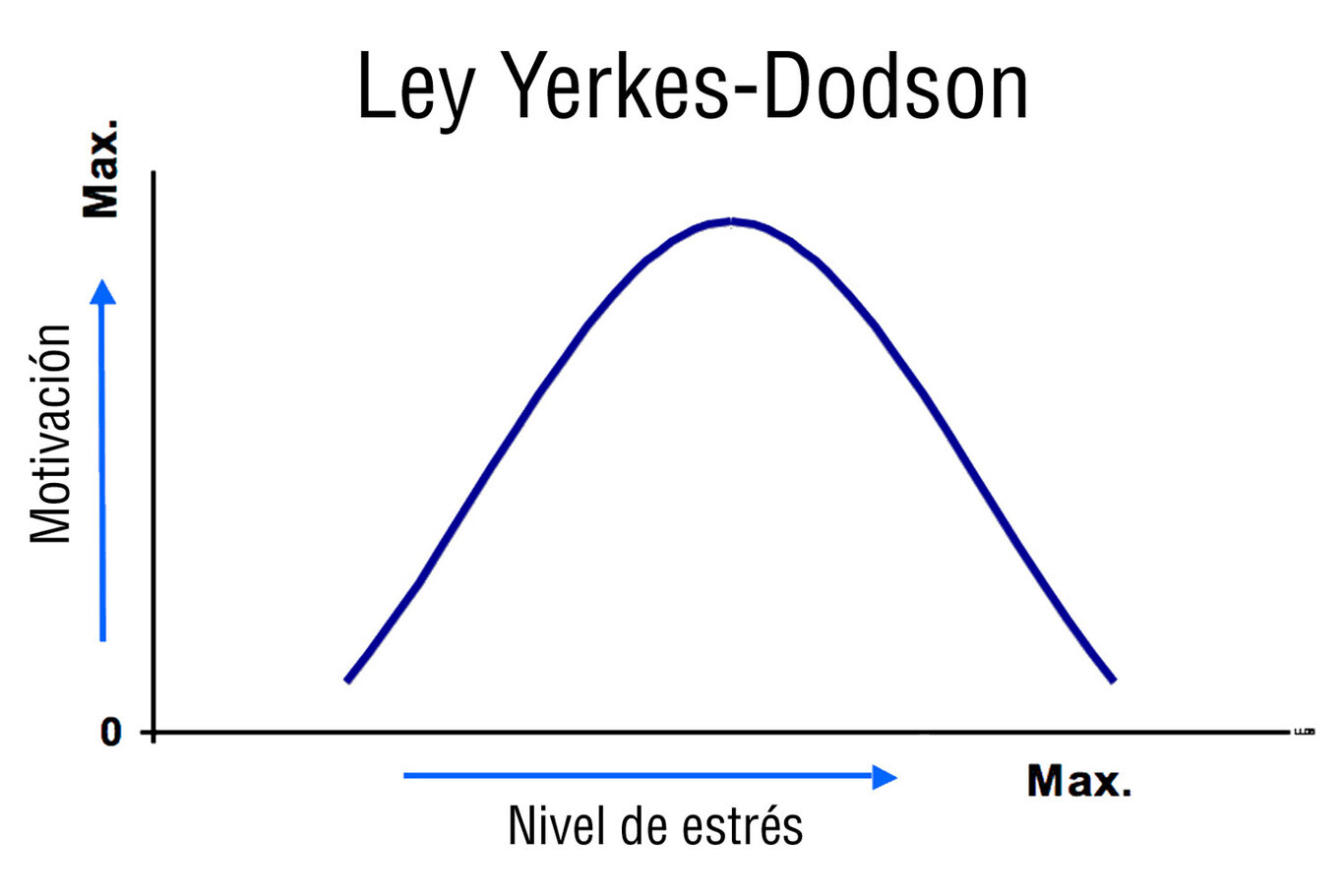 Ley de Yerkes-Dodson: la teoría que explica por qué algunas personas ...