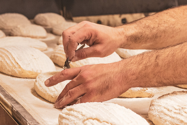 Cómo hacer pan: guía fácil y utensilios para triunfar, aunque no lo ...