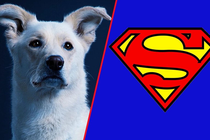 Krypto es el personaje más esperado de la próxima película de Superman ...