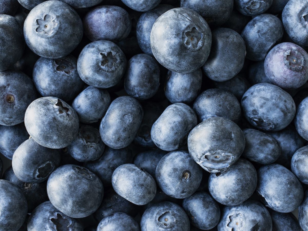 Los arándanos azules en realidad no son azules, solo lo parecen. Ahora ...