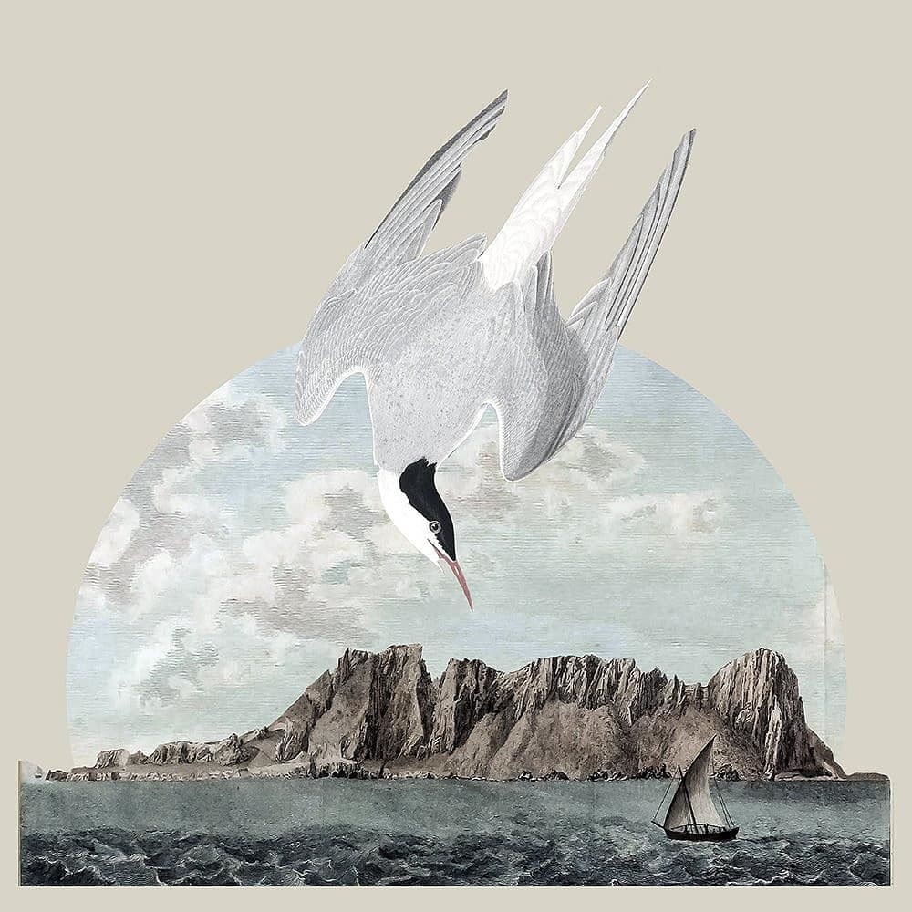 Estas son las 11 artistas femeninas que obsesionan a Instagram con sus ...