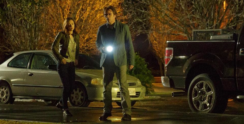 ‘Zoo’, la serie (soporífera y mediocre) que la PETA no quiere que veas