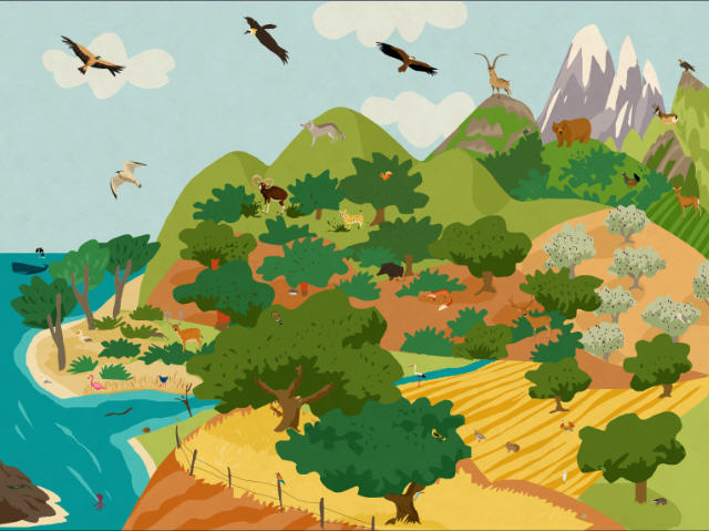 Imagenes de naturaleza animadas para niños - Imagui