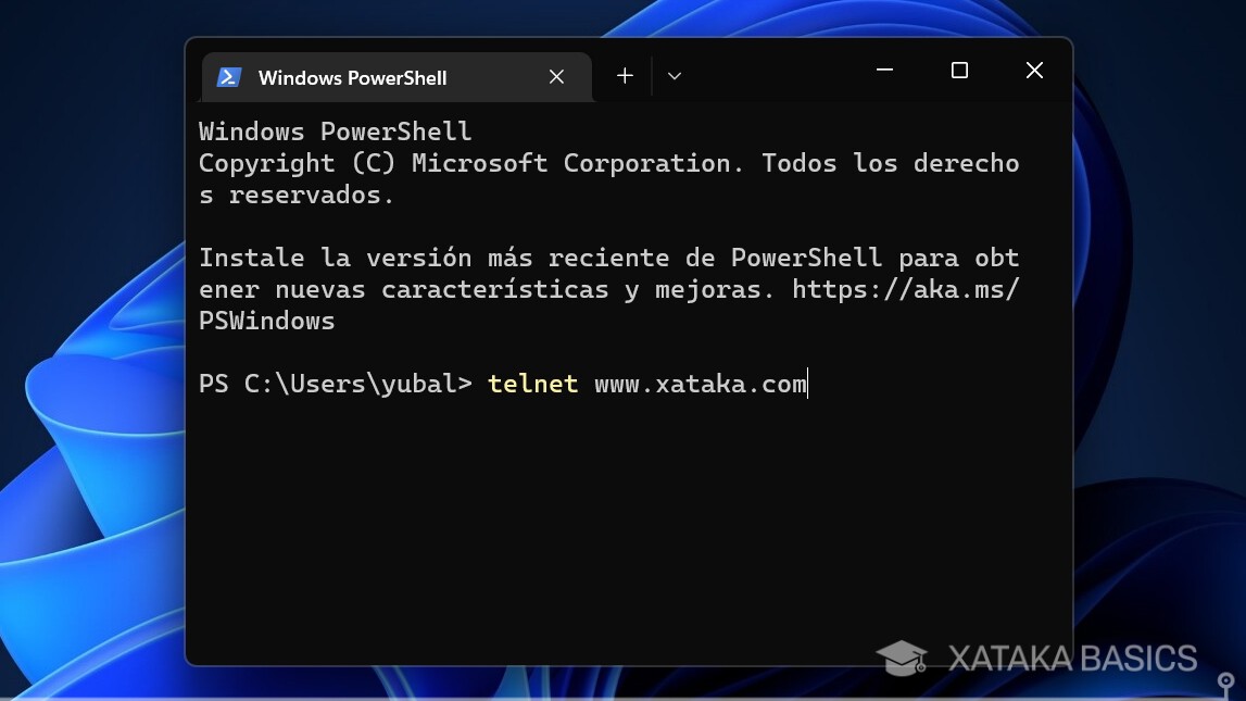 Telnet en Windows 11: qué es y cómo activarlo