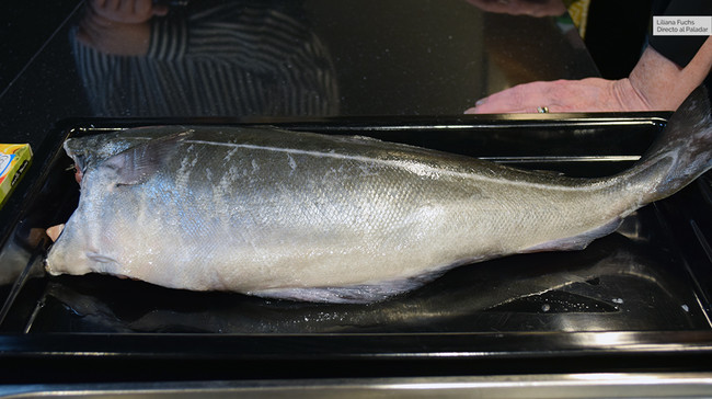 El primo pobre del bacalao se llama fogonero, y está buenísimo: cómo ...