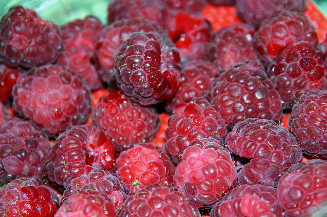 No solo vitaminas y sabor: esto es todo lo que los frutos rojos pueden ...