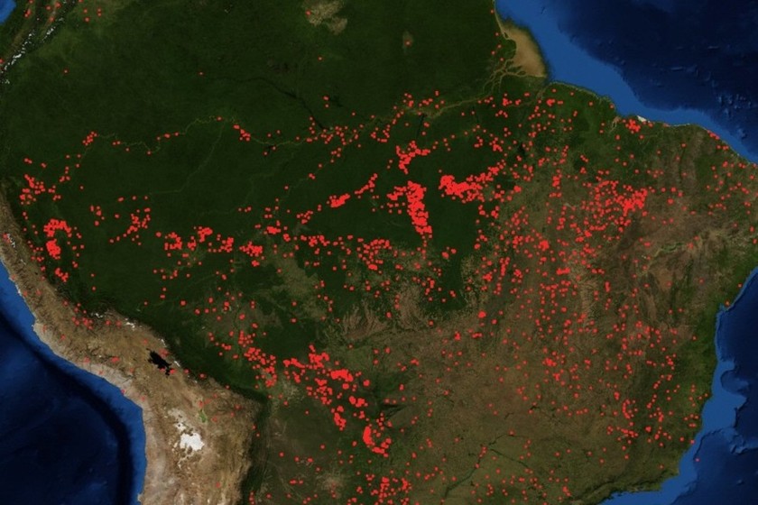 72.843 incendios en Amazonas durante 2019: Brasil está atravesando la ...