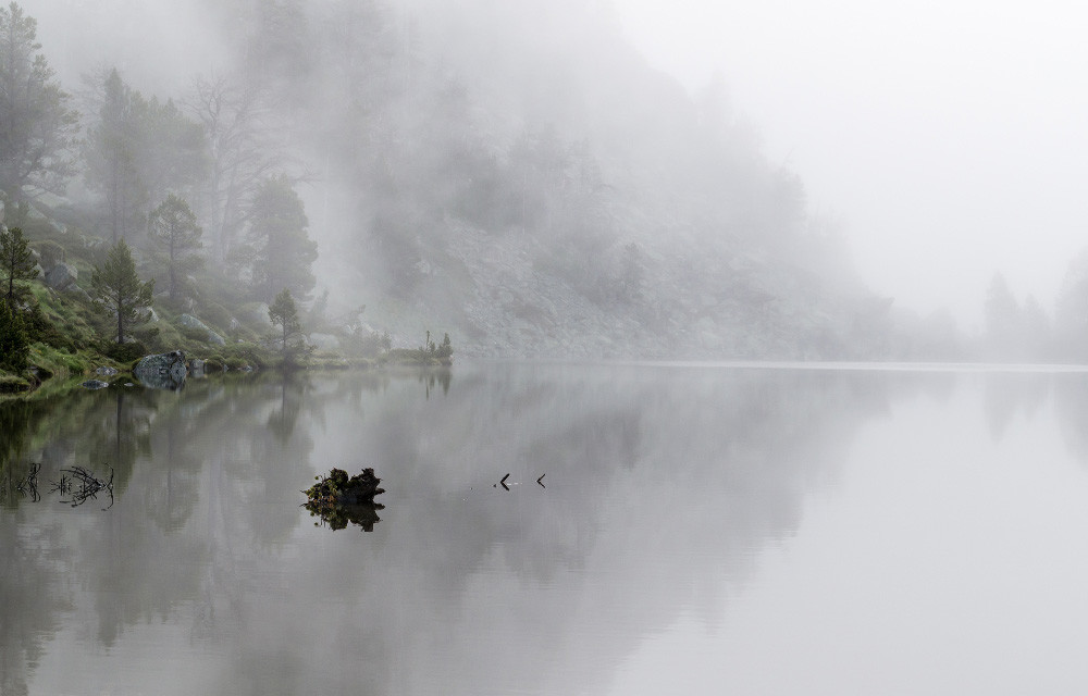 Trucos y consejos para hacer fotografías de niebla y neblina