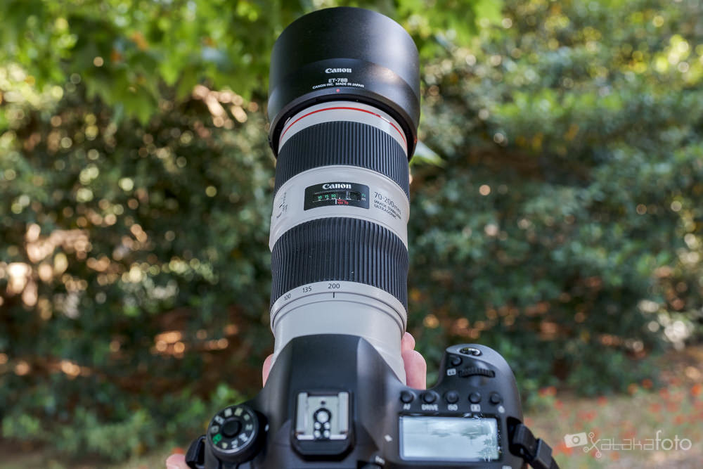 Canon EF 70-200mm f4L IS II USM, análisis: características, precio y ...