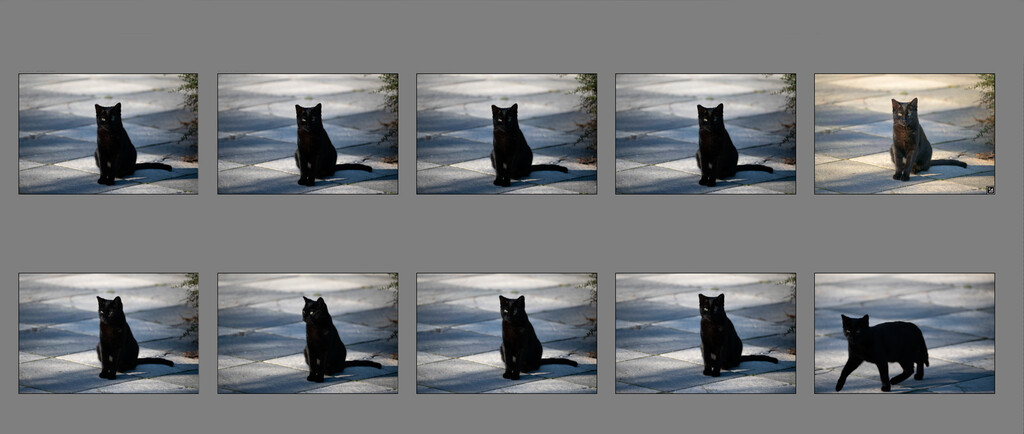 Cómo eliminar fotos repetidas en tu móvil en menos de cinco minutos