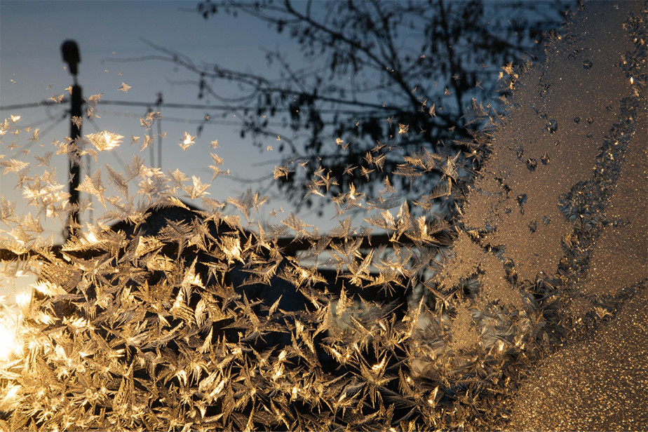 Nikon Photo Contest 2014-2015: estas son las fotografías premiadas en ...